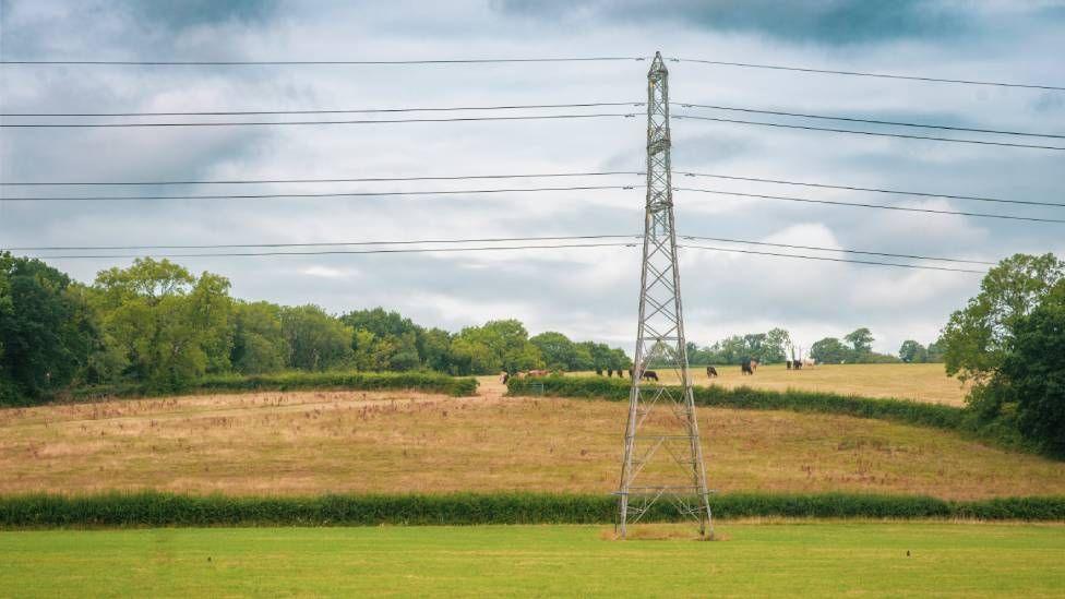 Pylons firm challenged by 500 farmers in landmark legal case - BBC News