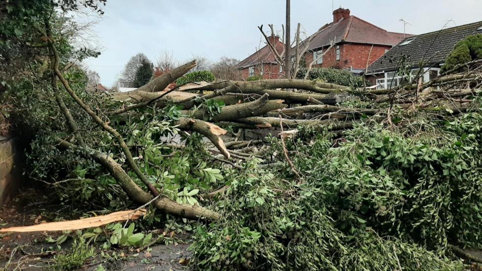 Man 'seriously hurt' by falling tree after storms batter West Midlands ...