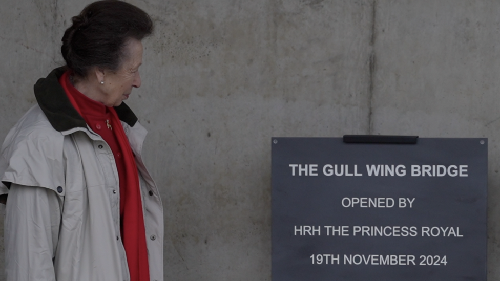 Princess Anne officially opens Lowestoft's Gull Wing Bridge - BBC News