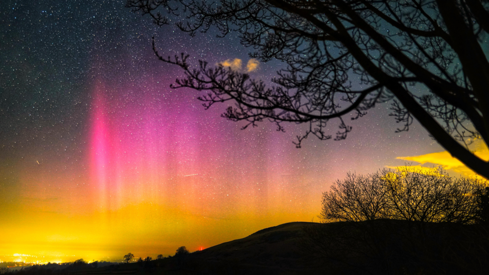 UK pollen count high in early start to hayfever season - BBC Weather