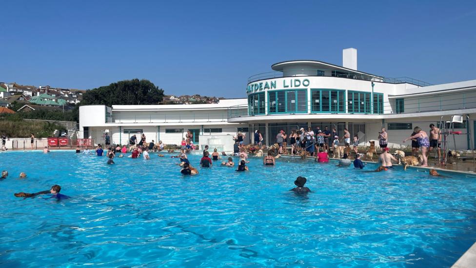 Saltdean Lido: 'Mayhem' as 150 dogs take over Brighton site - BBC News