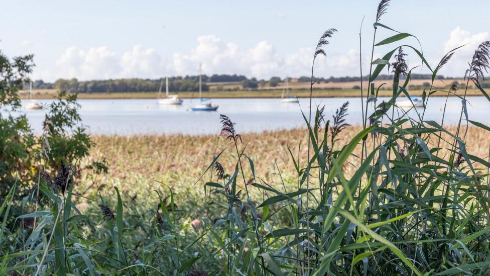 Beauty of Deben Estuary revealed from new coastal path - BBC News