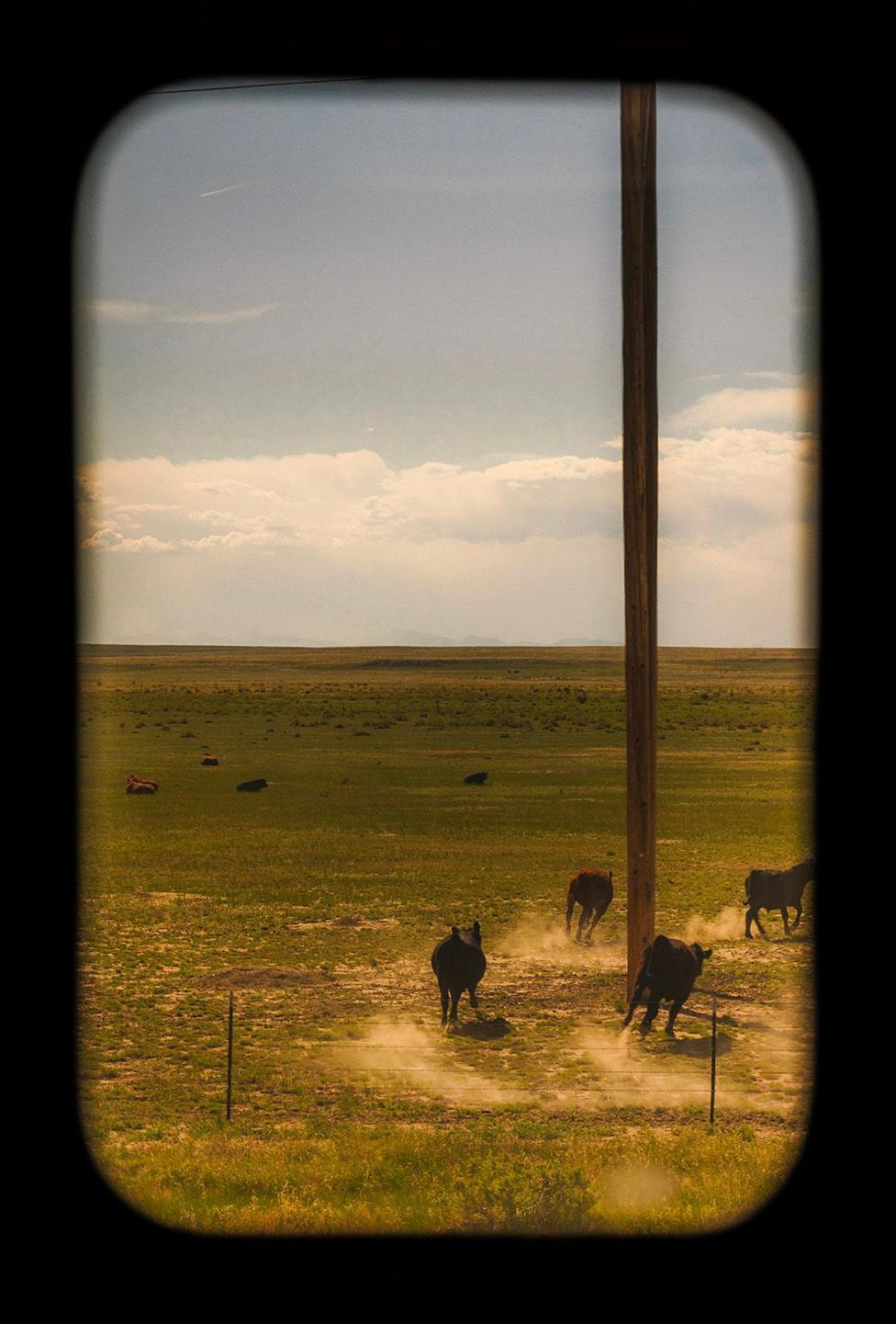 Framing the United States through a train window - BBC News