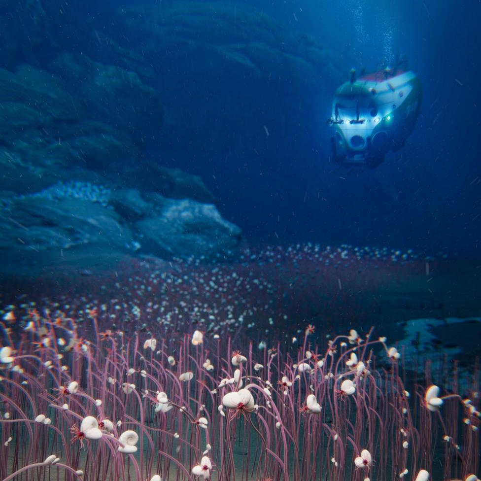 'Communities' of strange, extreme life seen for first time in deep ...
