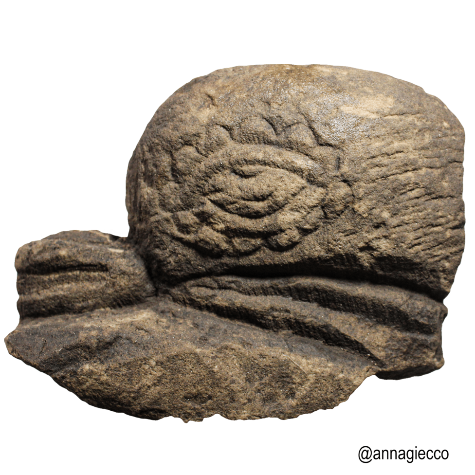 The best Carlisle Roman dig finds of 2023 - BBC News