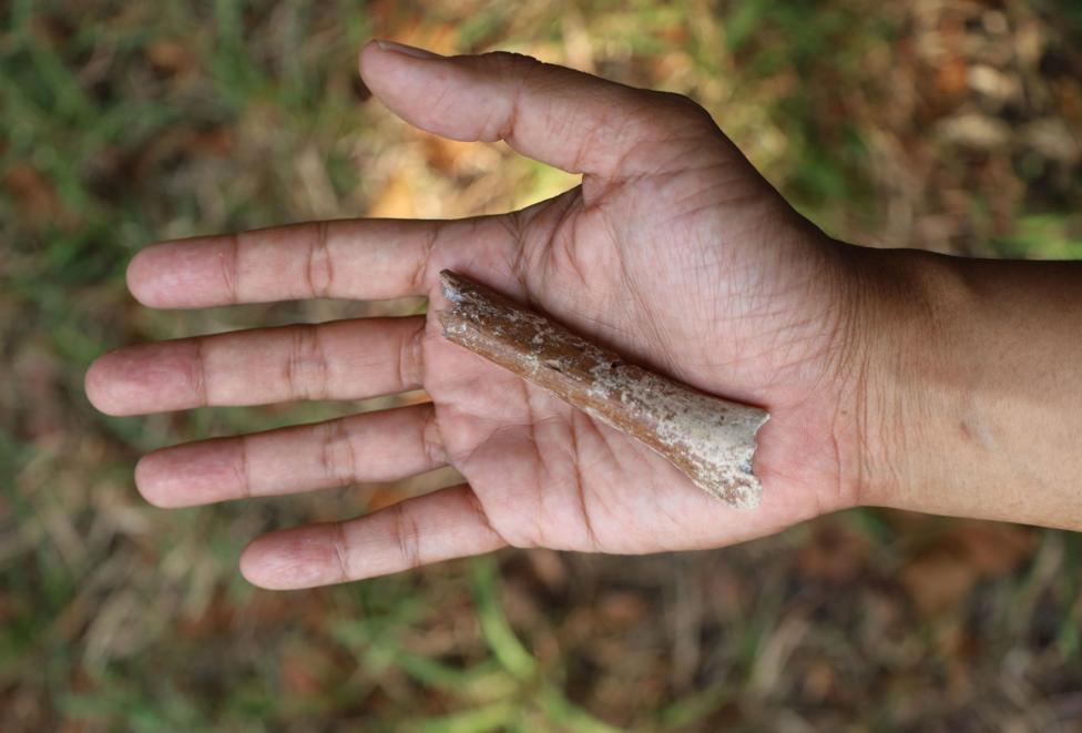 Ancient bones of the world's tiniest 'hobbit' humans discovered - BBC ...
