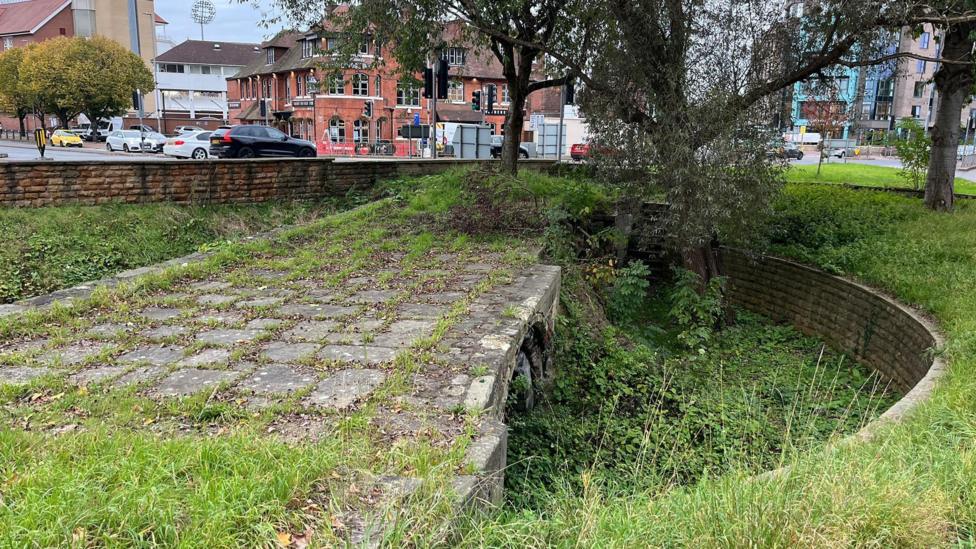 Nottingham: Overgrown bridge ruins 'should be celebrated' - BBC News