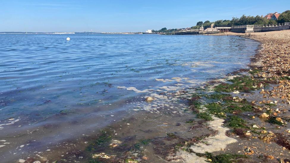 Lee-on-the-Solent sewage sea pollution angers residents - BBC News