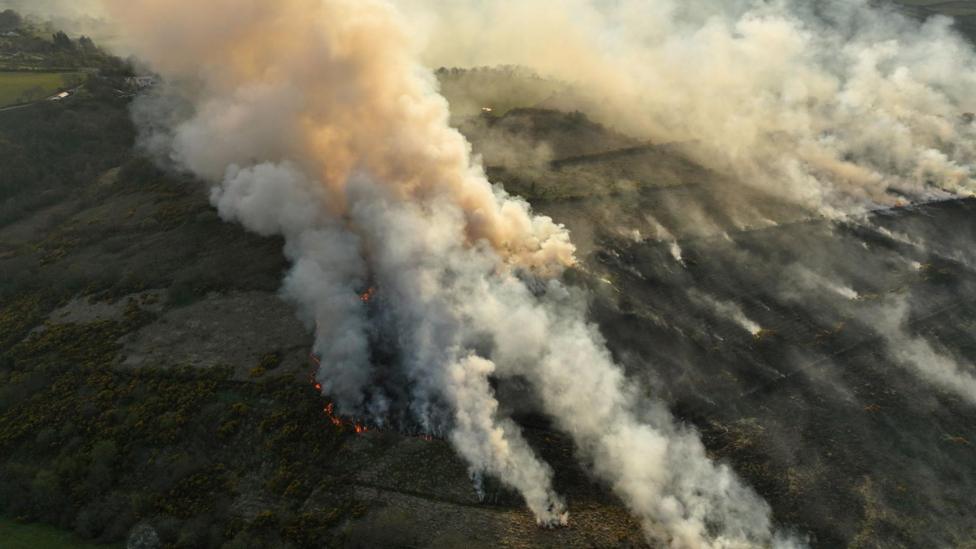 NI wildfires: Fire crews tackle almost 300 incidents in one week - BBC News