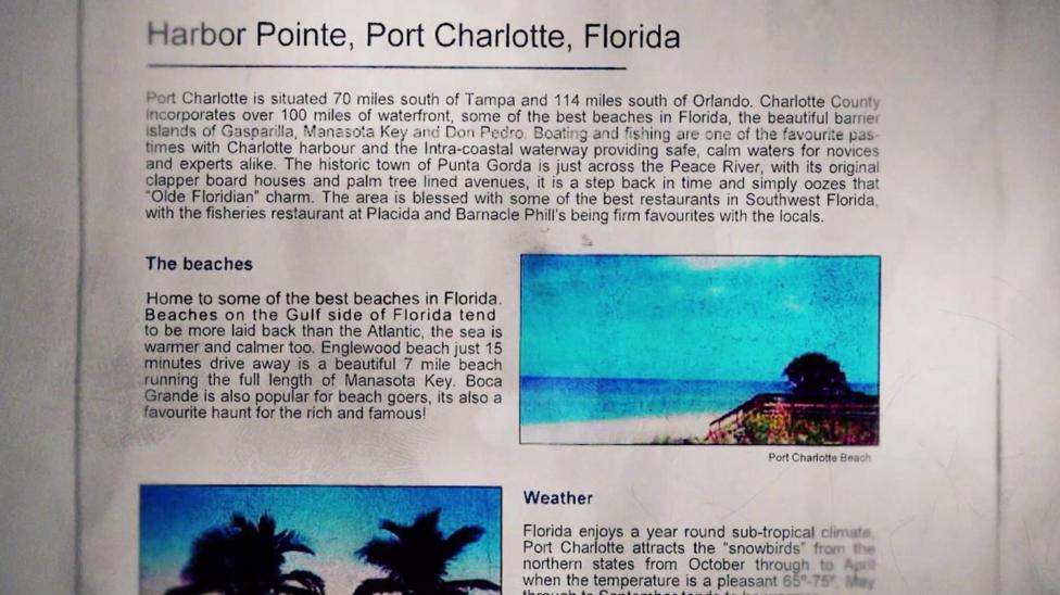 Premier League players lost millions in investments - BBC Sport