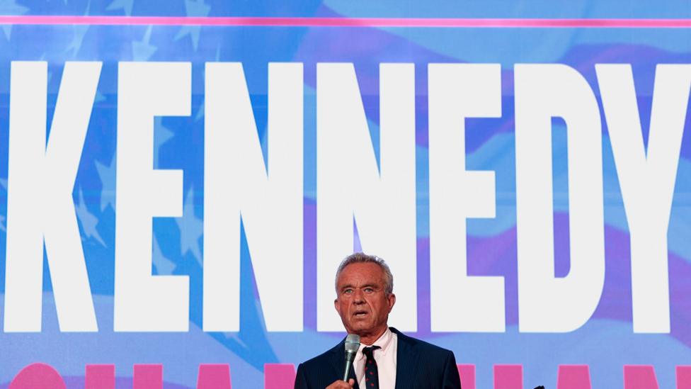 Dead bear another strange twist in RFK Jr's faltering campaign - BBC News