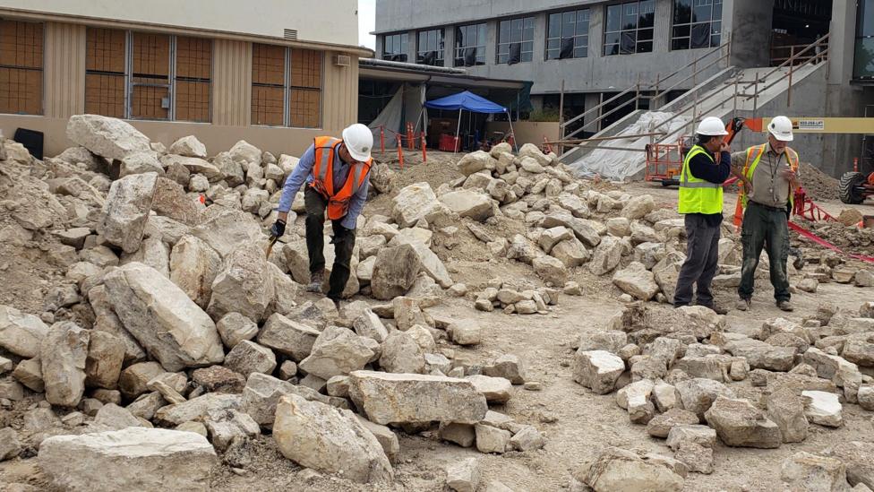Ocean fossils that are millions of years old, found under US school ...