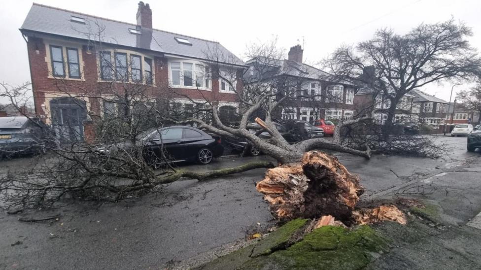 Wales sees thousands lose power after Storm Darragh winds - BBC News