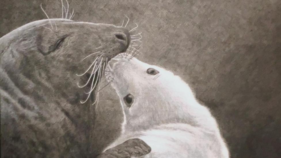 Hampshire artist draws British wildlife with a ballpoint pen - BBC News