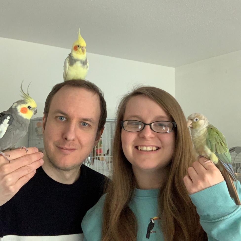 Birds given up by owners moved in with 'swearing parrots' - BBC Newsround