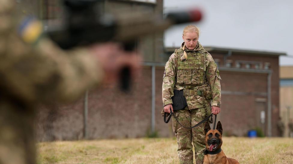 Military dogs save hundreds, says Ukrainian soldier - BBC News