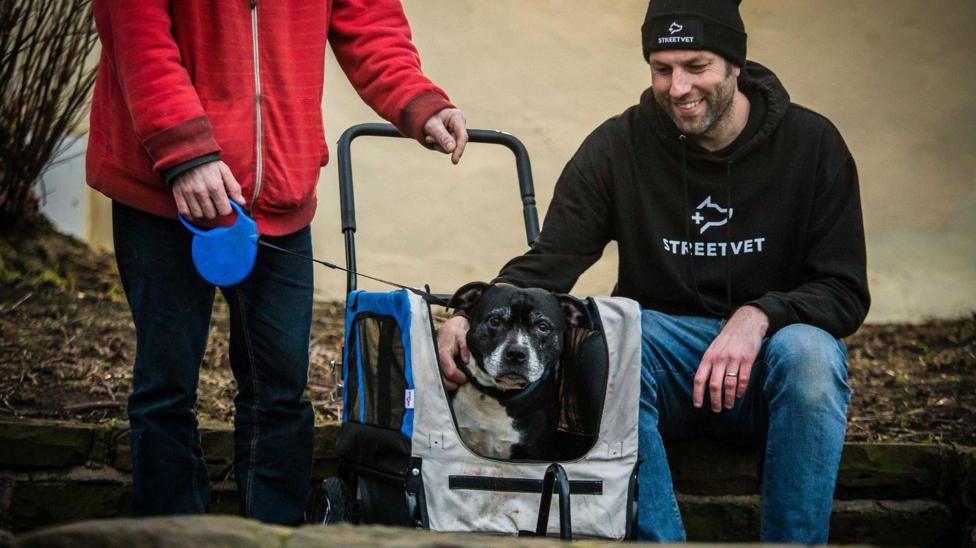 Charity calls for shelters to support homeless pet owners - BBC News