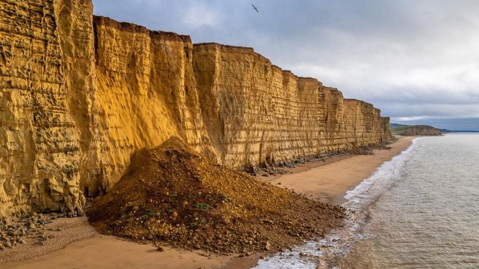 Moment of Charmouth cliff collapse captured during beach walk - BBC News