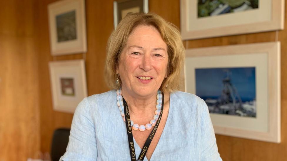 Cornwall Council leader survives vote of no confidence - BBC News