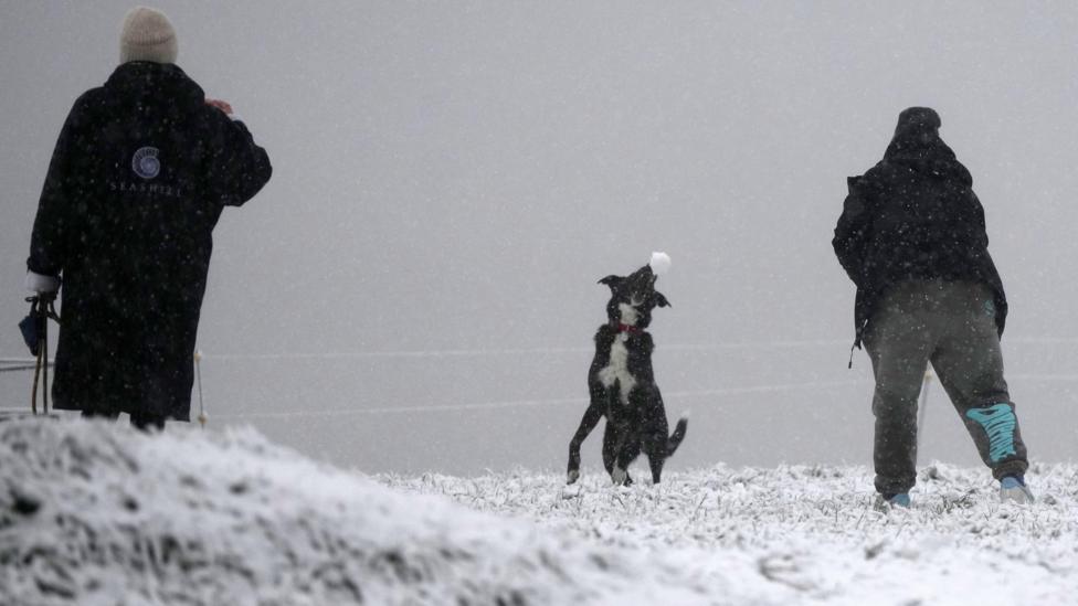Snow begins to fall in South East - BBC News