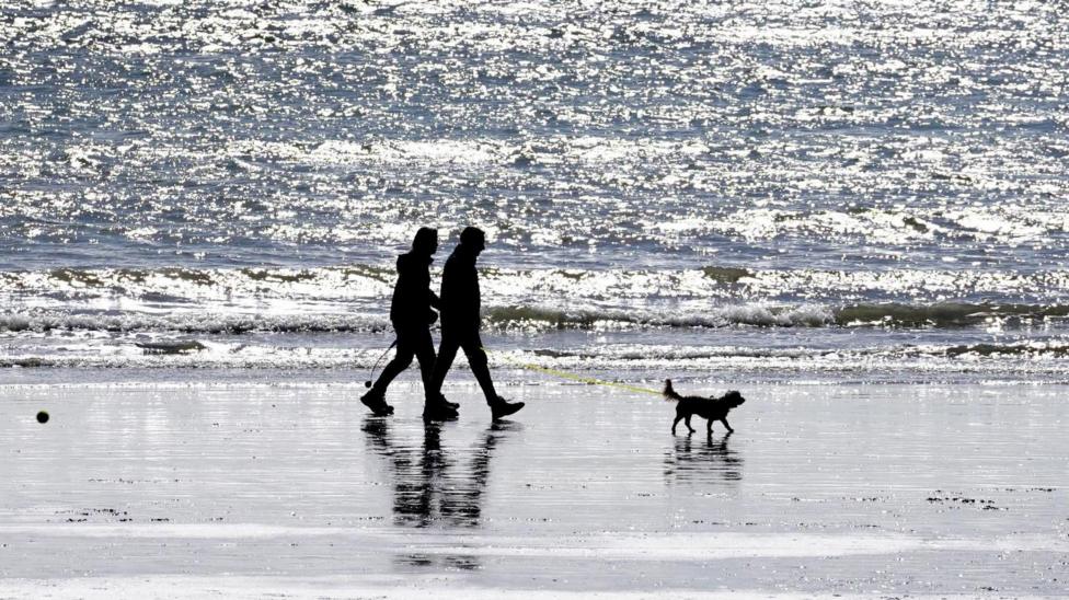 Dog beach ban in Arun comes into force - BBC News