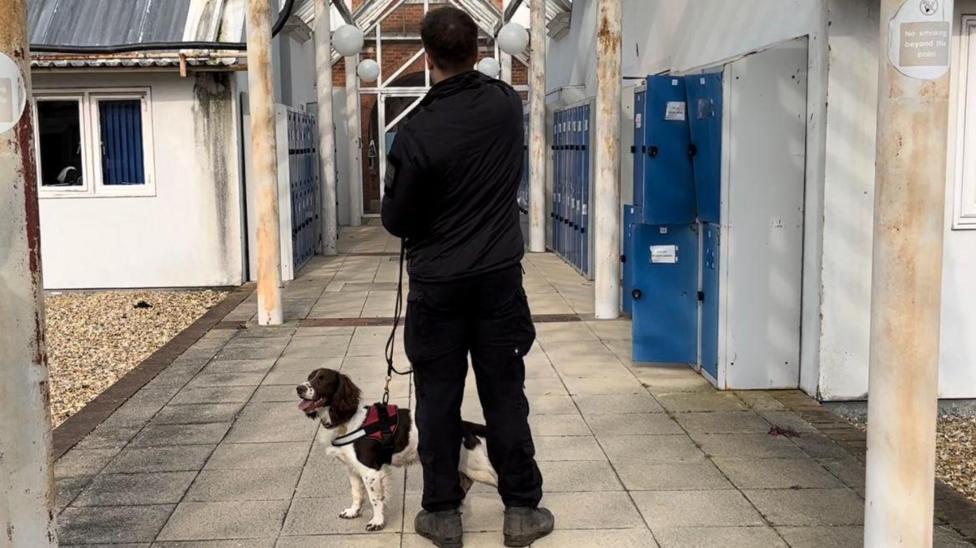 The digital detection dogs helping police sniff out technology - BBC News