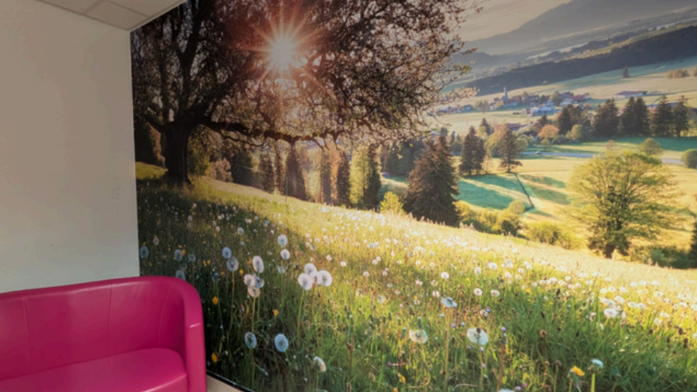 Surrey hospital cancer ward room 'transformed' into calming space - BBC ...