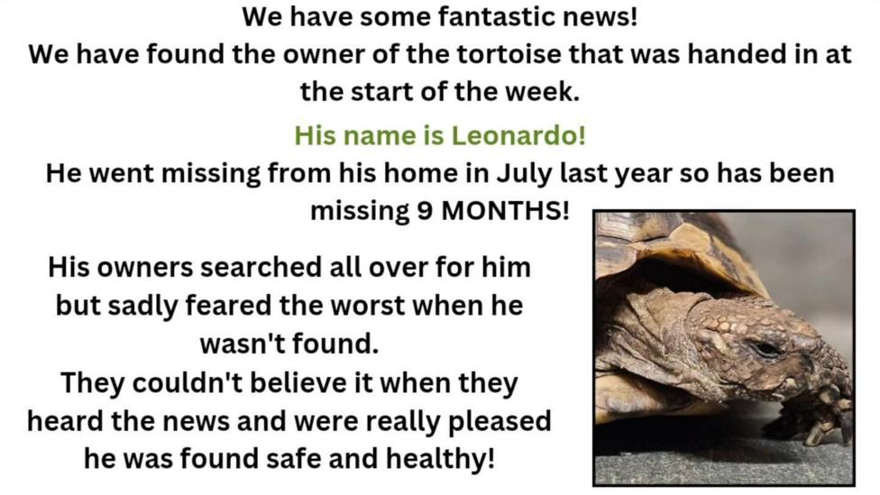 Meet Leonardo the tortoise that went missing for nine months - BBC ...