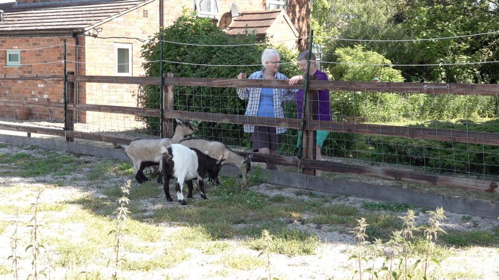 Retired Heckington couple 'devastated' by solar farm plans - BBC News
