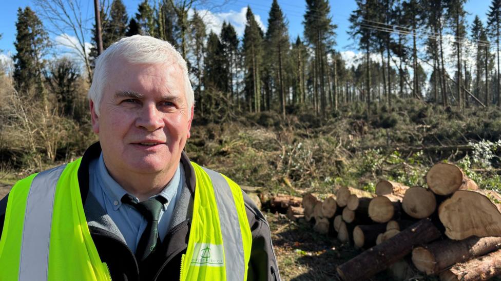 Storm Éowyn: Tree damage from storm 'unprecedented' - BBC News