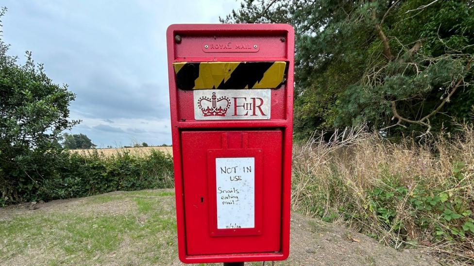 Northumberland postbox closed because snails eating mail - BBC News