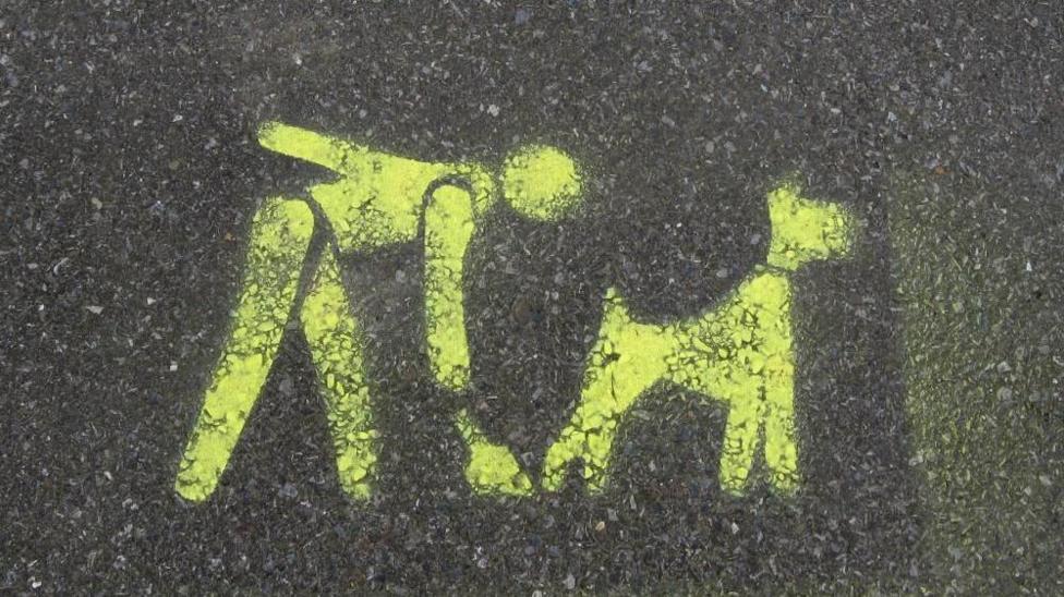 Liverpool's fines for fly-tipping, littering and dog poo to rise - BBC News