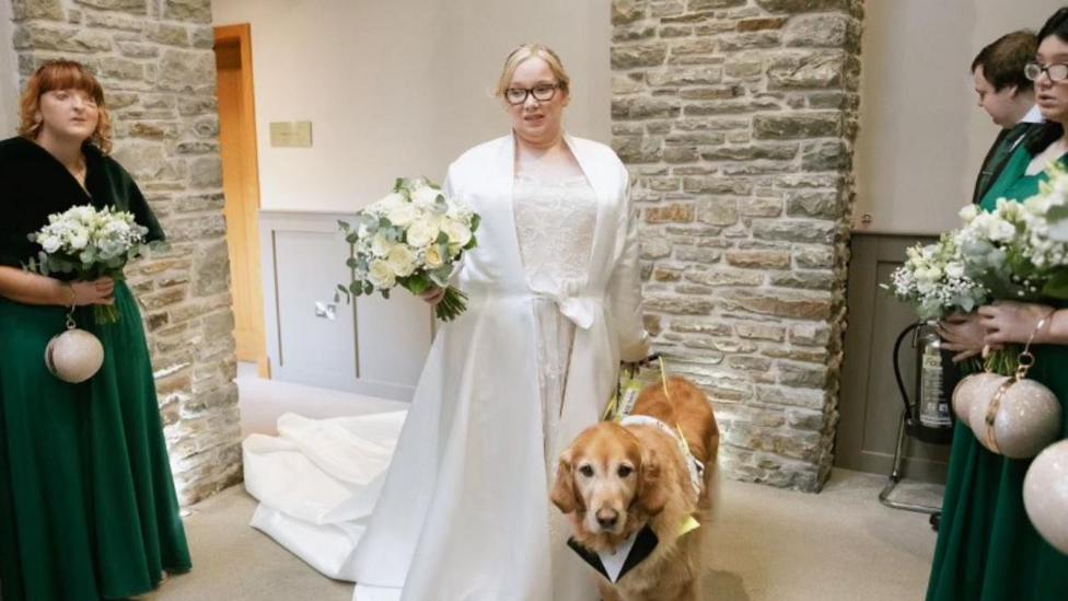 Dog weddings: The pooches playing a starring role - BBC News