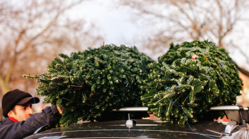 Trudeau plays Santa with seasonal tax break on toys, sweets and trees ...