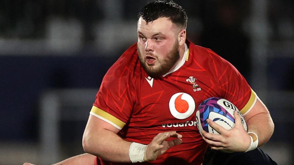 Louie Trevett: Scarlets sign prop on loan from Bristol Bears - BBC Sport