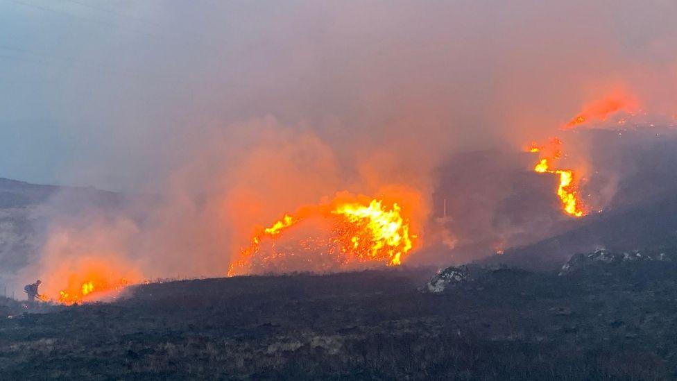 Scotland facing escalating threat from wildfires - report - BBC News