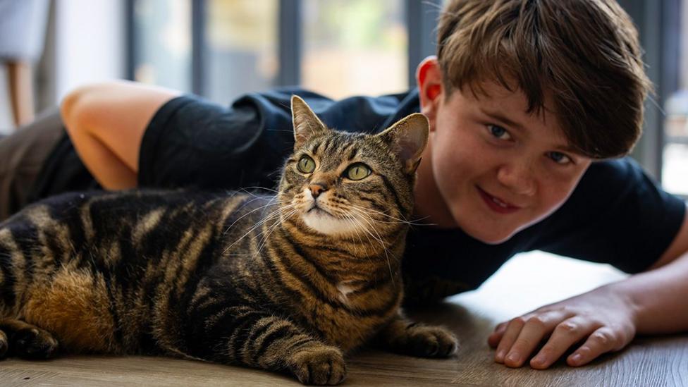 National Cat Awards: Meet some of the finalists! - BBC Newsround