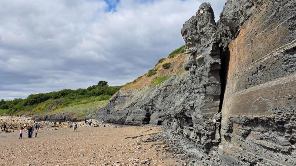 Huge cliff crack prompts warning at Charmouth fossil beach - BBC News