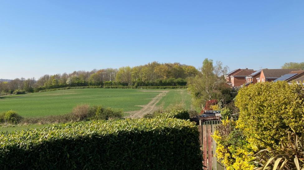 Sheffield Local Plan gives go-ahead to homes on green belt - BBC News
