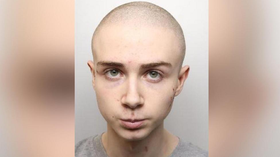 Birley Academy staff praised as teenager jailed for school attack - BBC ...