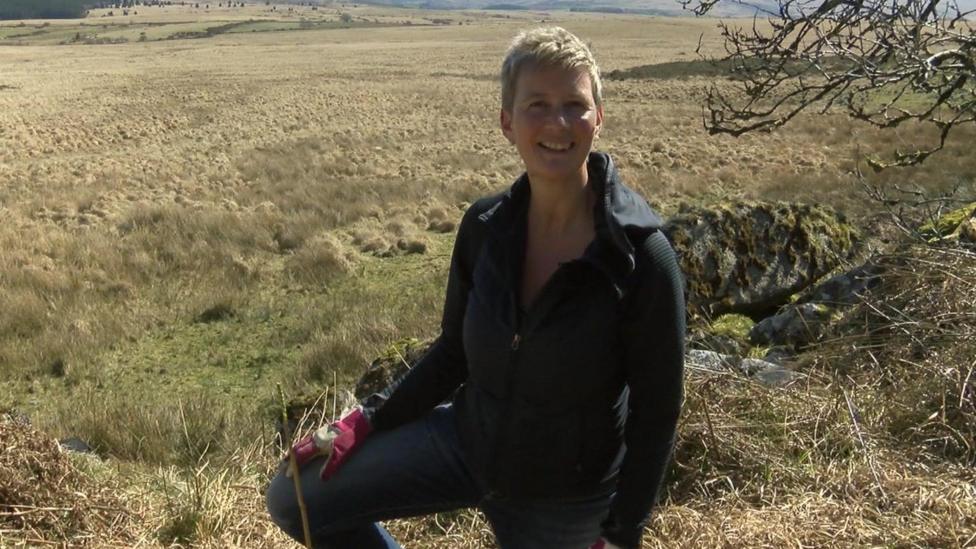 Work in Dartmoor to expand one of 'UK's last ancient rainforests' - BBC ...