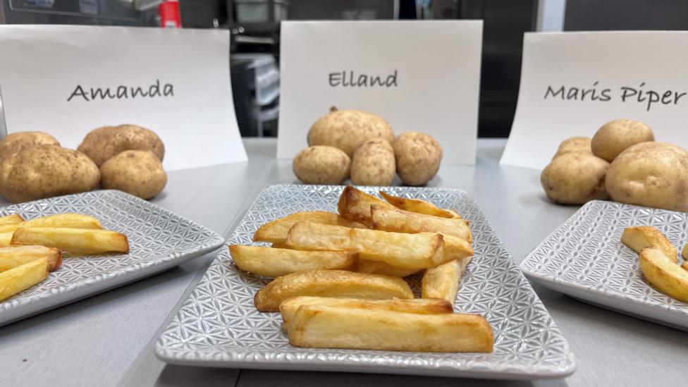 Could 'super potatoes' save the tattie industry? - BBC News