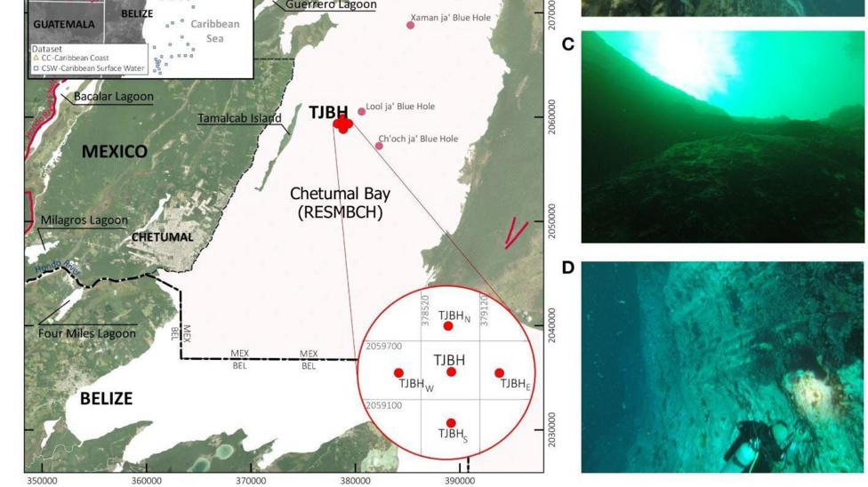 Taam Ja' Blue Hole: Experts can't find bottom of deepest ocean hole ...