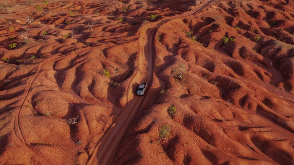 World Environment Day 2024: What is desertification - BBC Newsround