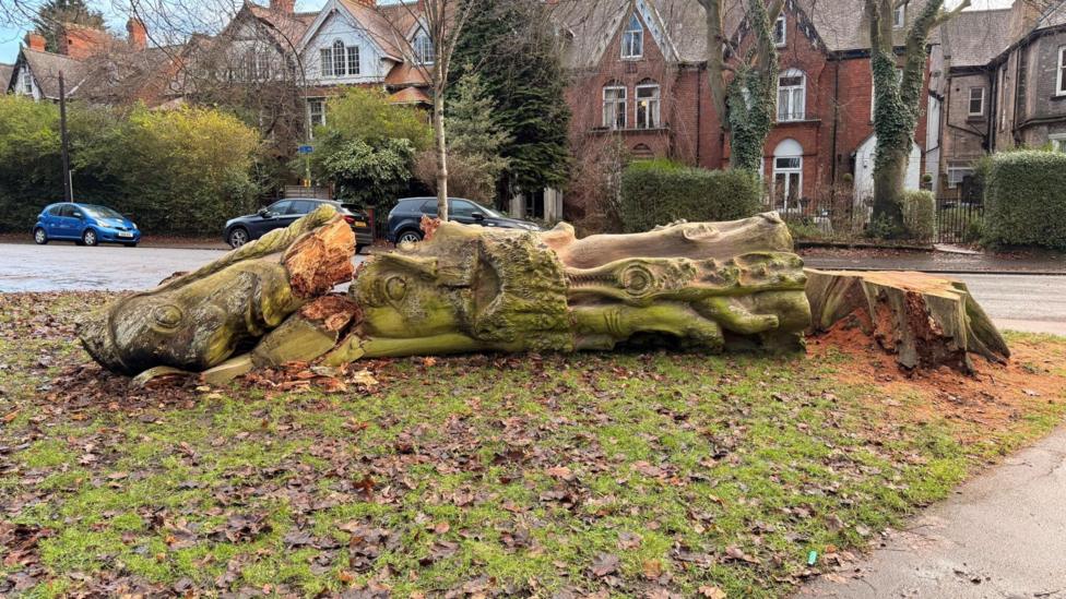 Hull tree sculpture felled over safety concerns - BBC News