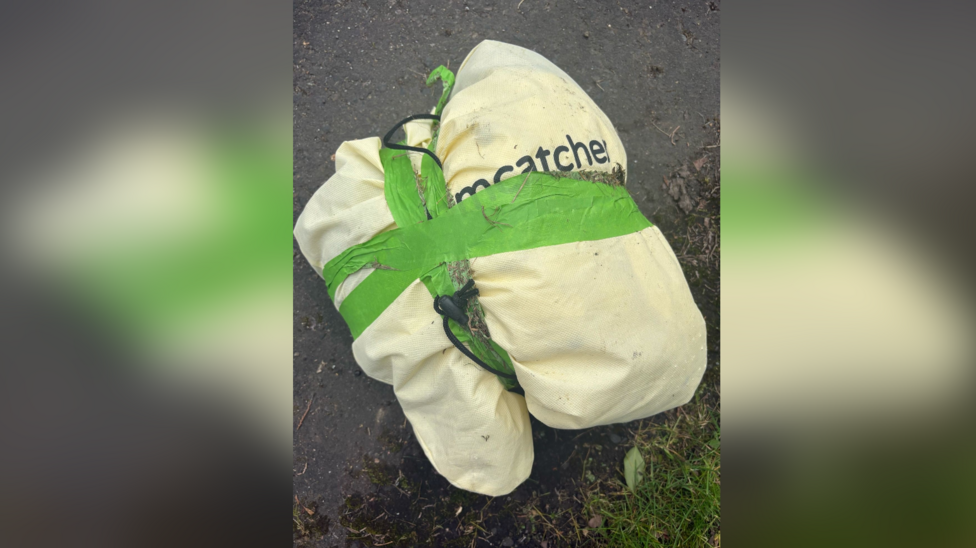 Cat tied up in bag and abandoned in Angmering sparks appeal - BBC News