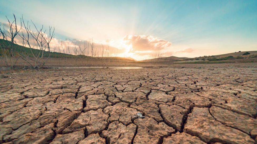Drought explained: What is it, what causes it, and why it matters - BBC ...
