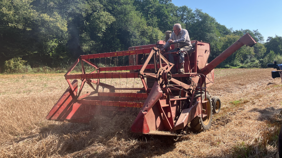 Machines from the 1960s bringing in the harvest in Cornwall - BBC News
