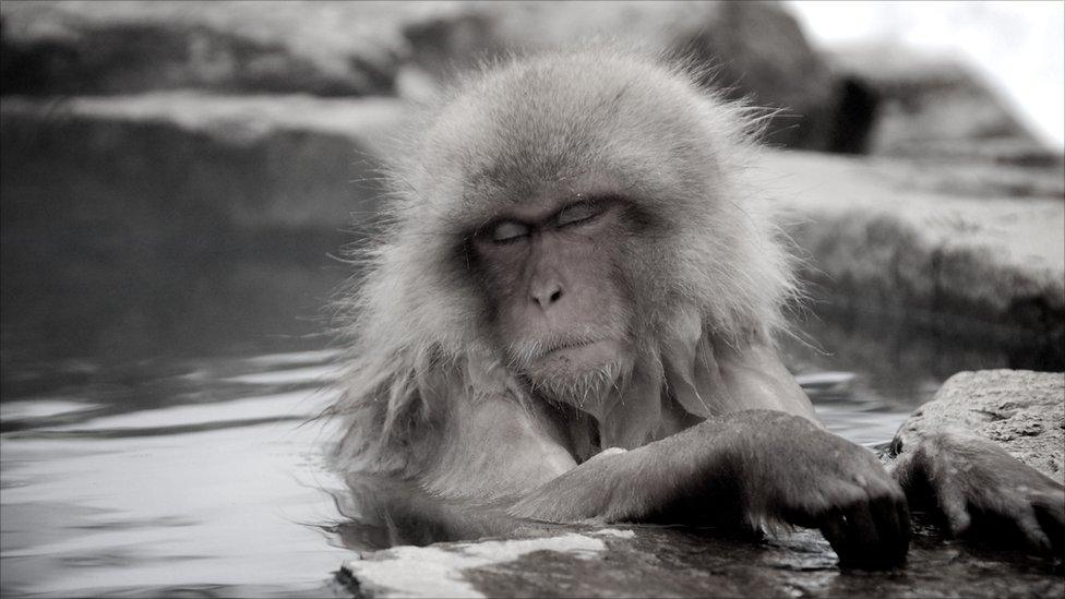 Your pictures: Heat - BBC News