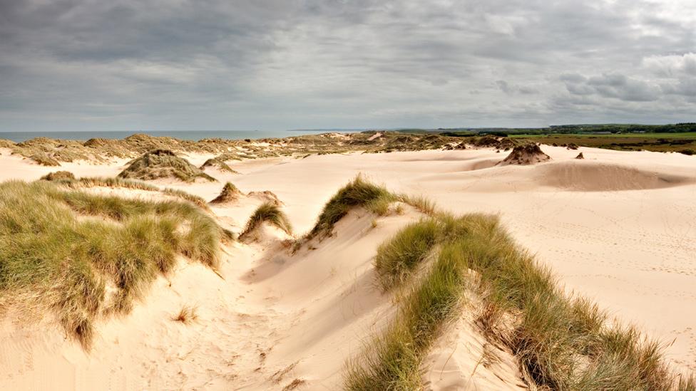 Your Pictures of Scotland: 3 - 10 June - BBC News